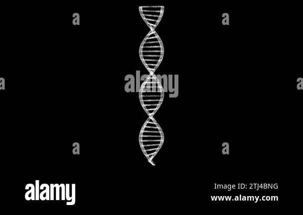 3D DNA strand rotates on black bg. Object dissolved white flickering ...
