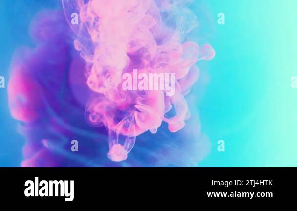 Color explosion. Paint water. Ink splash. Fluid drop. Bright pink cyan ...