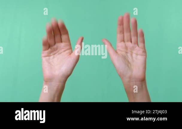 Female Hands Waving, Goodbye on Isolated Green Chroma Key Background ...
