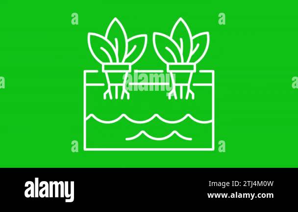 Animated hydroponics white line icon. Plant roots in water animation ...