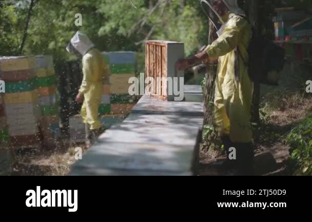 bees are blown out of the hive with a blower - honey is stacked for ...