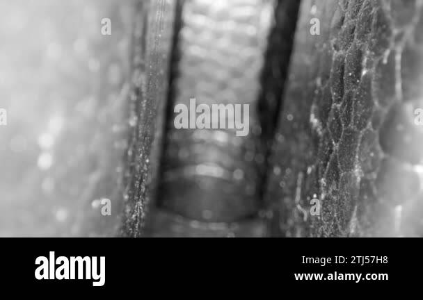 Fom packaging Stock Videos & Footage - HD and 4K Video Clips - Alamy