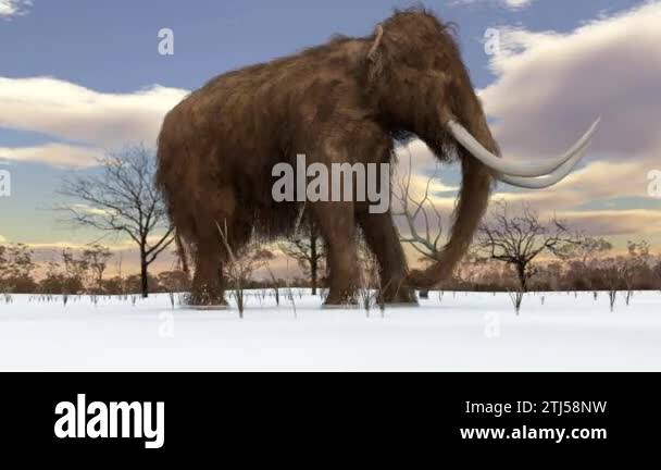 Woolly mammoth in ice age Stock Videos & Footage - HD and 4K Video ...