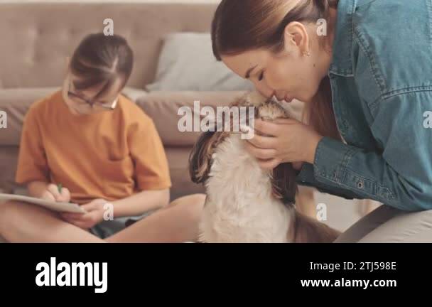 Dog drawing room Stock Videos & Footage - HD and 4K Video Clips - Alamy