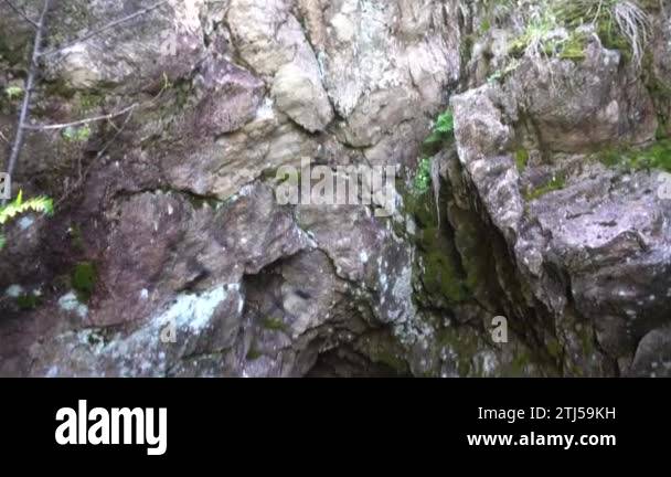 Hidden entrance to the cave among green grass and bushes. Mountainous ...