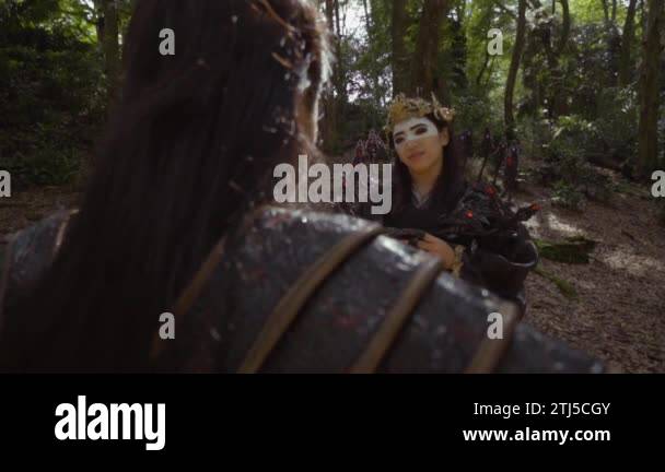 Woman sword forest Stock Videos & Footage - HD and 4K Video Clips - Alamy