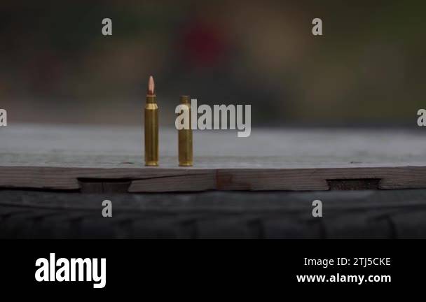 Ammunition casing Stock Videos & Footage - HD and 4K Video Clips - Alamy