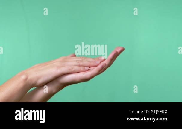 Female Hands Clapping their Hands on Empty Isolated Green Chroma Key ...