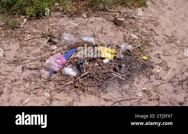 Discarded Garbage from Plastic Bottles, Plastic Bags in Sun in Forest ...
