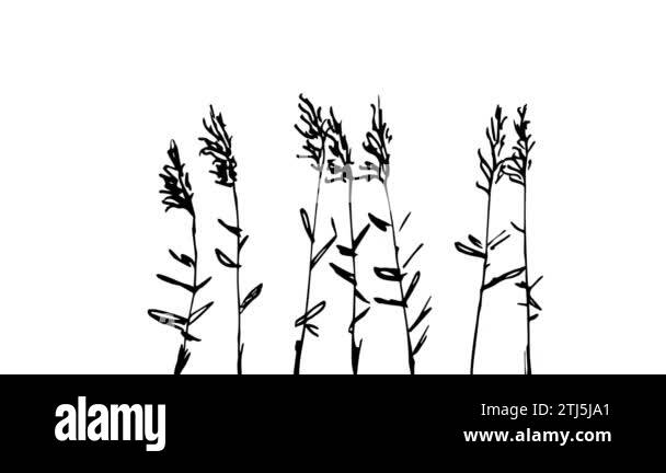 Ink weed Stock Videos & Footage - HD and 4K Video Clips - Alamy