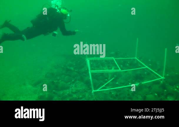 Underwater archeology: sketching an underwater archaeological object ...