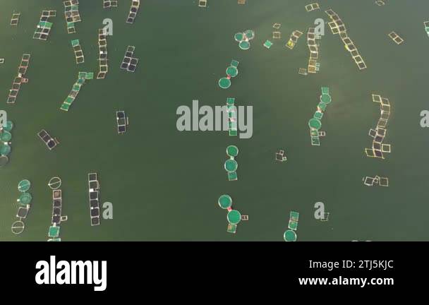 Fish ponds for bangus, milkfish. Farming aquaculture or pisciculture ...