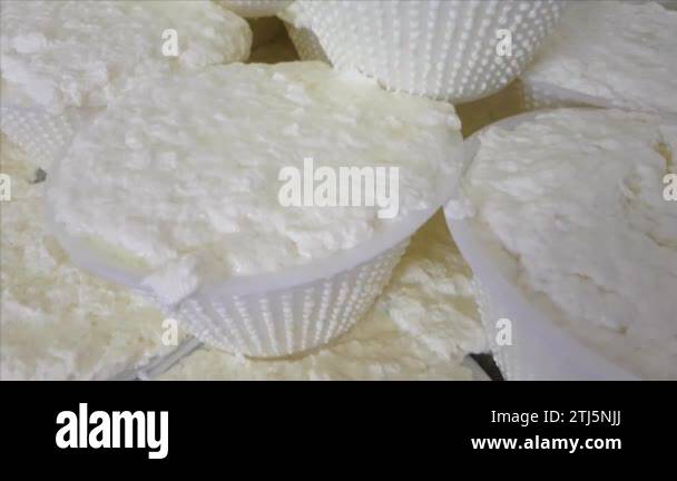 Round cheese blocks Stock Videos & Footage - HD and 4K Video Clips - Alamy