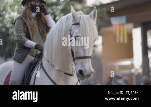 Horse rider spanish costume Stock Videos & Footage - HD and 4K Video ...