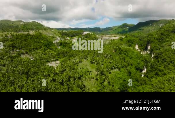 Tropical mountain landscape with palm trees and forest. Cebu island ...