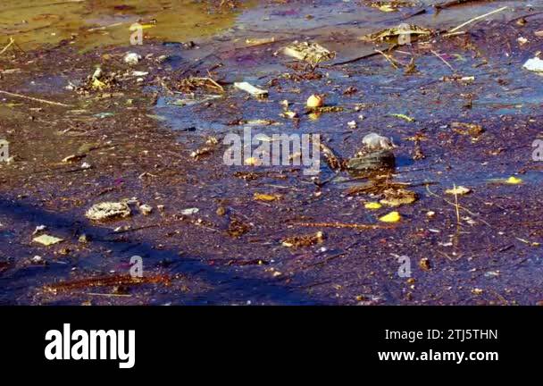 Seawater damage Stock Videos & Footage - HD and 4K Video Clips - Alamy