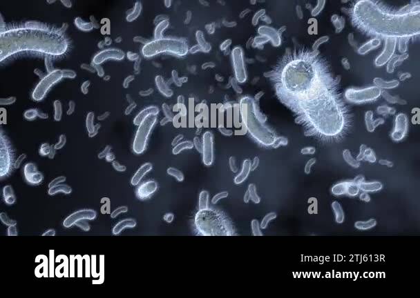 Microscopic Bacteria floating under microscope animation in black ...