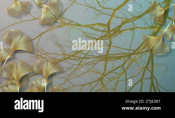 Animated Gold frame of Ginkgo biloba leaves on reflection of branches ...