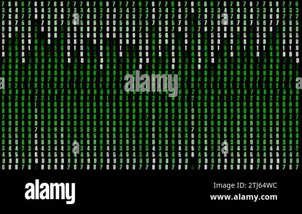 Vertical movements of the binary code in the matrix style. White and green numbers on a black ...