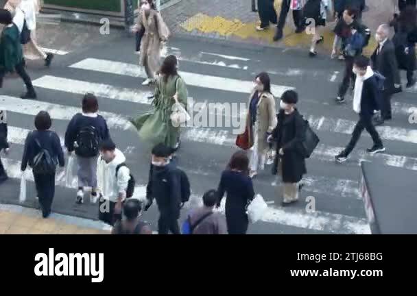 Diversity tokyo Stock Videos & Footage - HD and 4K Video Clips - Alamy