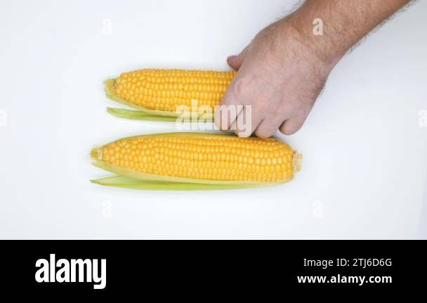 Hands take corn on the on a white background. Isolated. A man ...