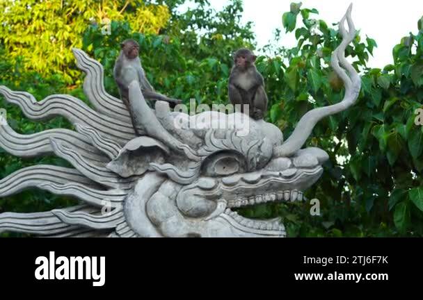 Portrait of a two wild monkey sitting on a stone sculpture of a dragon ...