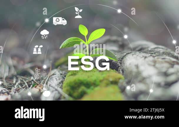 ESG environmental social governance investment business concept. ESG ...