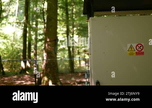 Tree science Stock Videos & Footage - HD and 4K Video Clips - Alamy