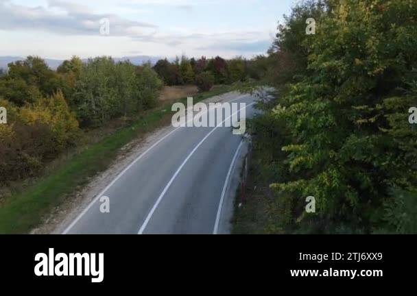 Tangled oak tree Stock Videos & Footage - HD and 4K Video Clips - Alamy