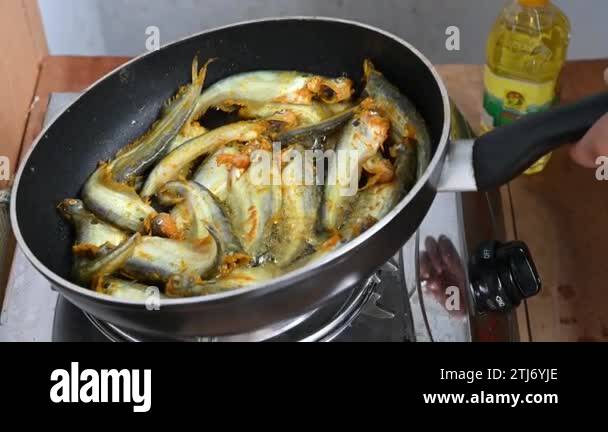 Pabda fish Stock Videos & Footage - HD and 4K Video Clips - Alamy