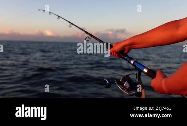Fishing rod handle Stock Videos & Footage - HD and 4K Video Clips - Alamy
