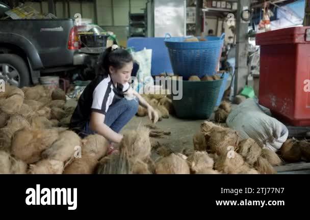 Coconut factory Stock Videos & Footage - HD and 4K Video Clips - Alamy