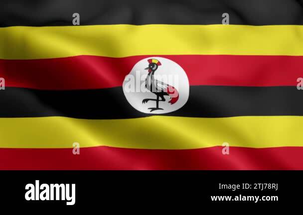 Uganda Flag video waving in wind. Uganda Flag Wave Loop waving in wind ...