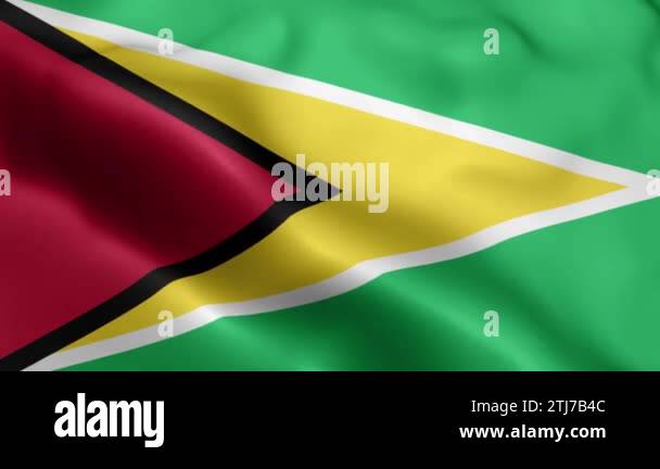 Guyana Flag video waving in wind. Guyana Flag Wave Loop waving in wind. Realistic Guyana Flag ...