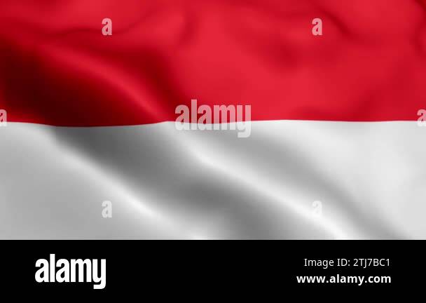 Indonesia Flag video waving in wind. Indonesia Flag Wave Loop waving in ...
