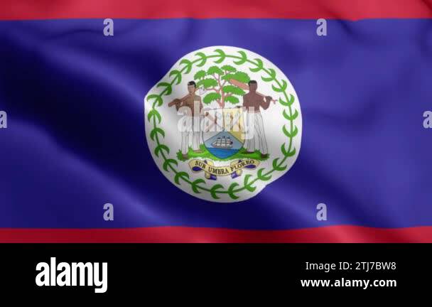 Belize Flag video waving in wind. Belize Flag Wave Loop waving in wind ...