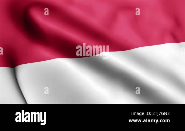 Monaco Flag video waving in wind. Monaco Flag Wave Loop waving in wind ...