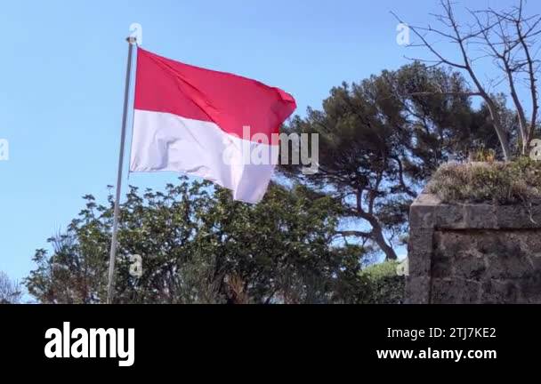 Historical principality flag Stock Videos & Footage - HD and 4K Video ...