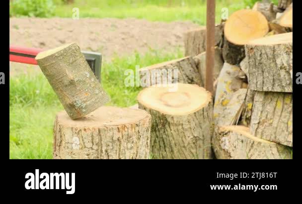 Ax cutting wood in Stock Videos & Footage - HD and 4K Video Clips - Alamy