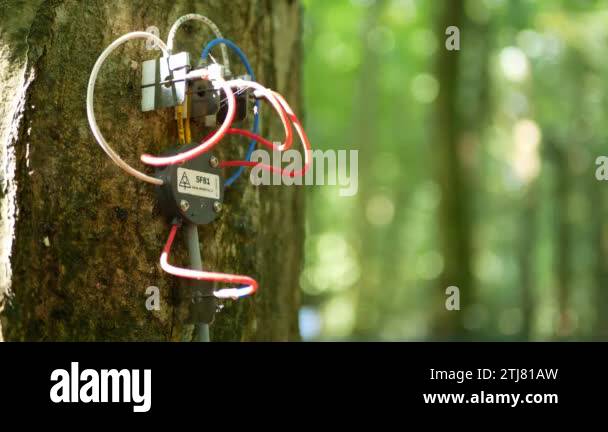 Scientific measurement tree sap flow transpiration water science ...