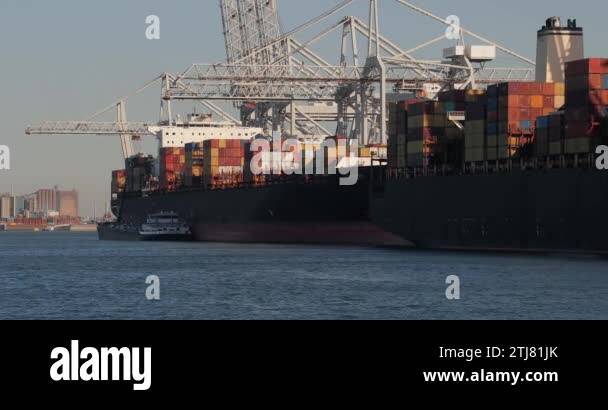 Container ships in the cargo dock container terminal, Port of Rotterdam ...