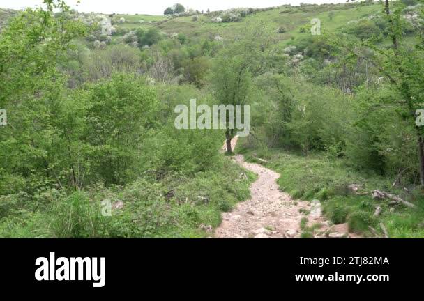 Rural walk england Stock Videos & Footage - HD and 4K Video Clips - Alamy