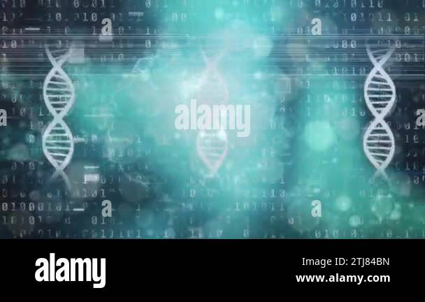 Animation loop of dna helixes with illuminated floating nucleotides over binary codes. Digitally ...