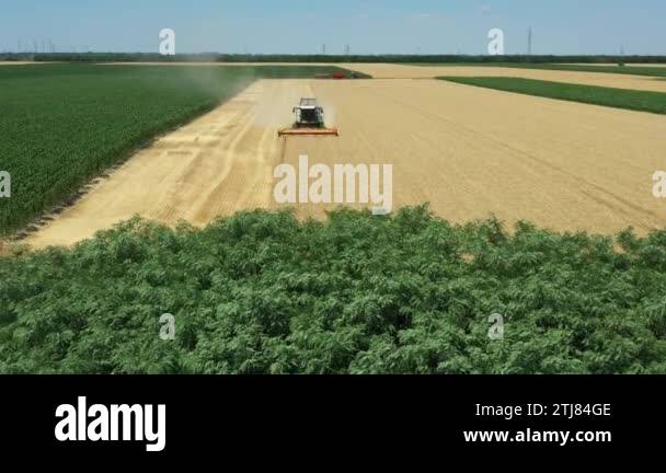 Above view dolly move overfly forwards agricultural harvester, combine ...