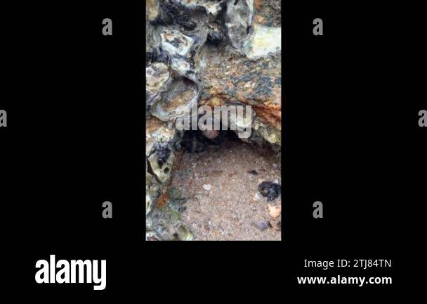 Vertical walk Stock Videos & Footage - HD and 4K Video Clips - Alamy