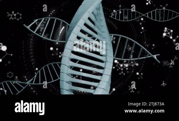 Animation of dna helixes and floating nucleotides and lines moving in ...