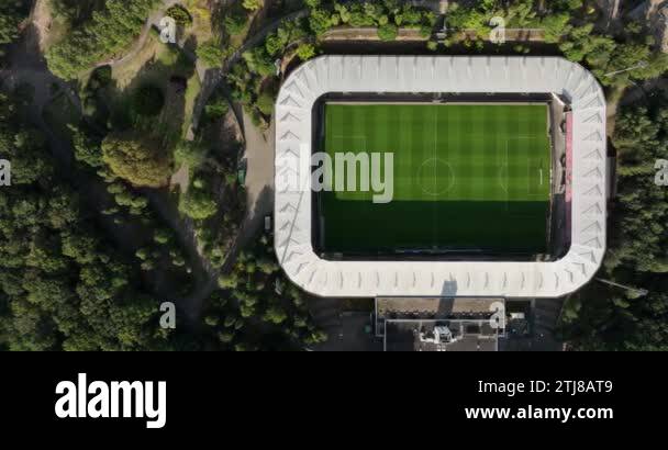 Soccer football stadium top down overhead Aerial in forrest park. Green ...