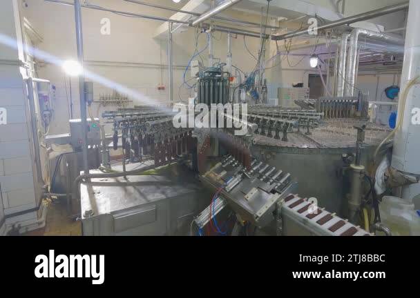 Automated conveyor line. Automated production of ice cream. Modern ice ...