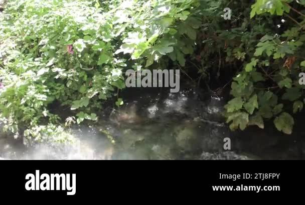 Water running through Ain Asserdoun of Beni Mellal (Morocco) among the ...