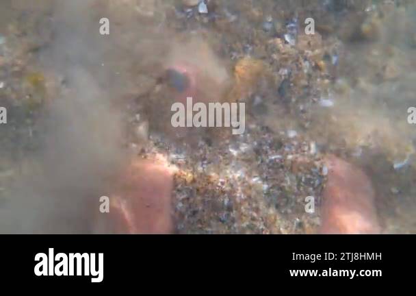 Woman standing barefoot on sand underwater and digging her feet into sand. Woman digging her ...
